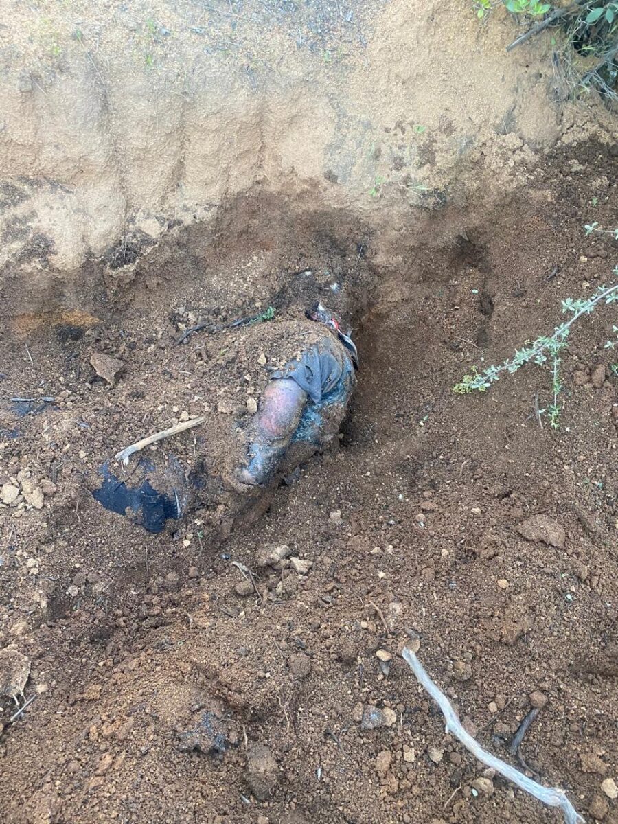 Colectivo de búsqueda halla cuatro cuerpos en fosa clandestina en ... Colectivo de búsqueda halla cuatro cuerpos en fosa clandestina en ...
